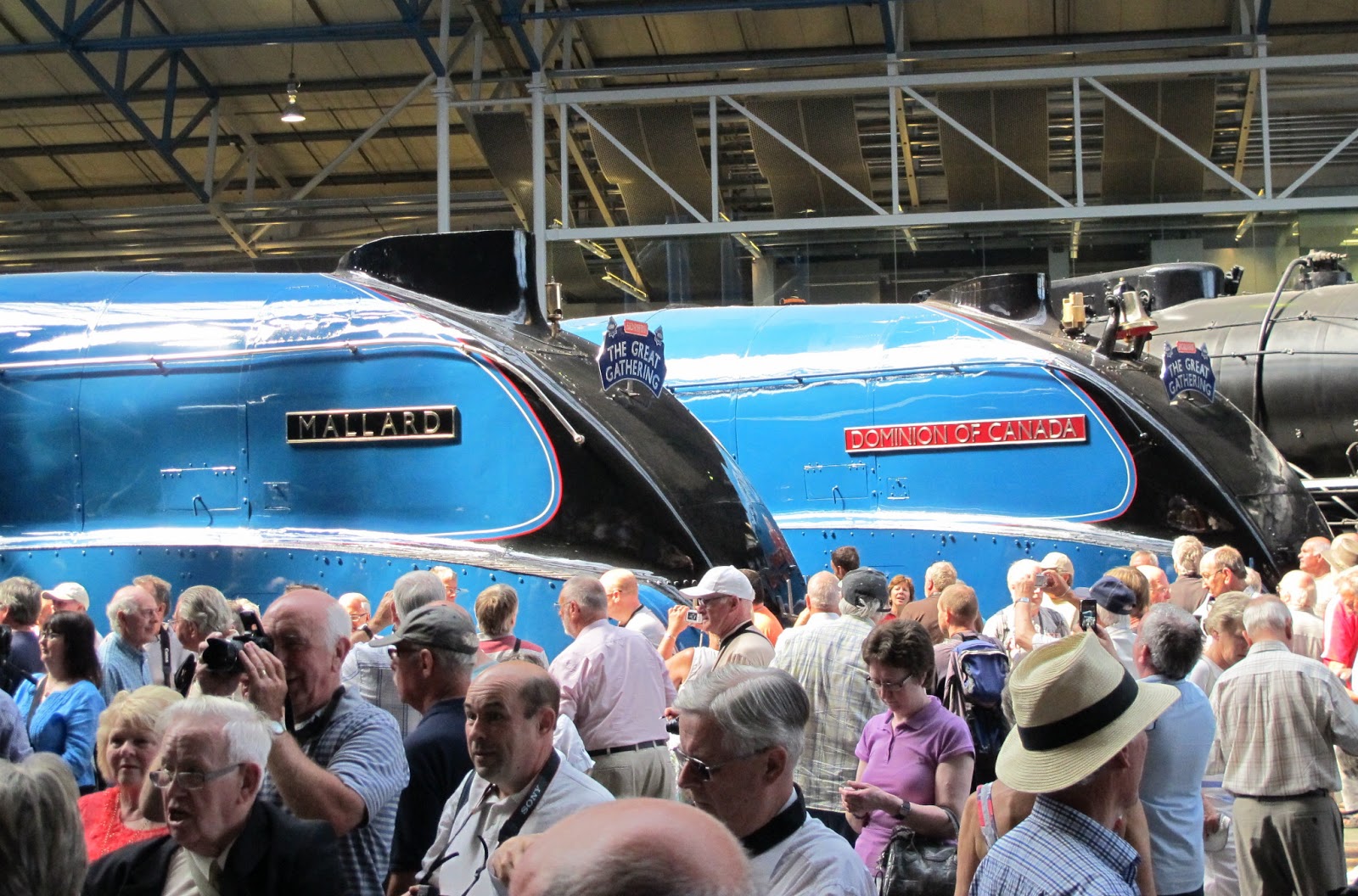 Vince's World: The Great Gathering; York