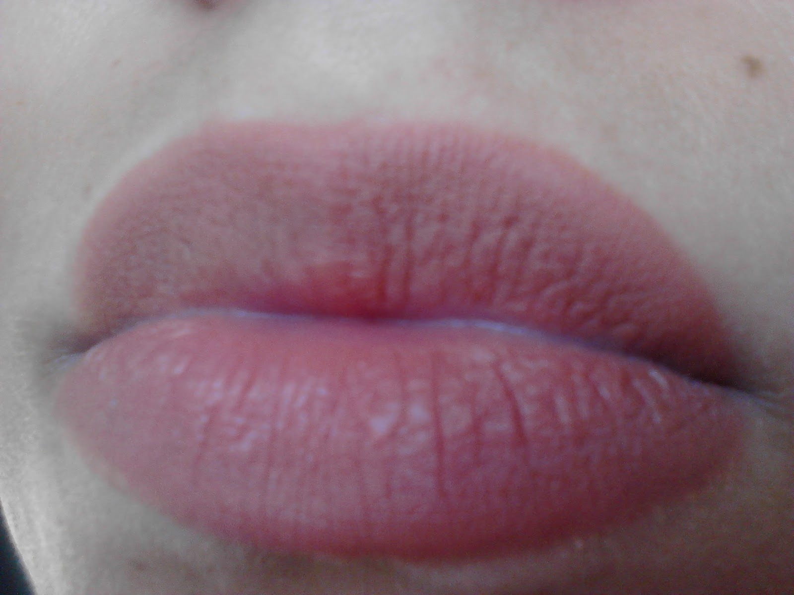 The Blushing Girl: Wet n' Wild: Coloricon Lip Liners