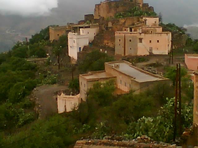 PALMERAIE /TARGUA NTOUCHKA: lieux de visite. ( targua n'touchka)