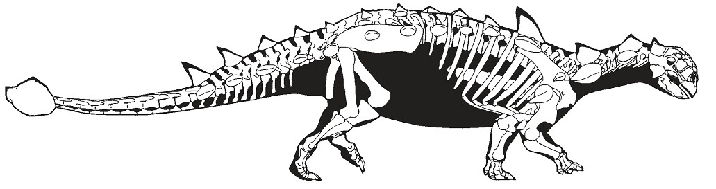 Dinosauria: Euplocephalus tutus and the Diversity of Ankylosaurid Dinosaurs