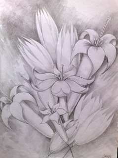 Grafica si pictura de Corina Chirila: Niște flori desenate in creion