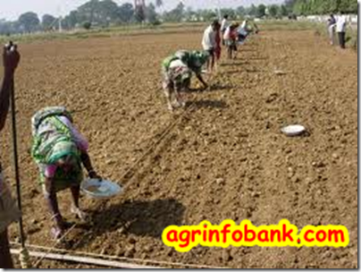 Methods of Sowing | Agriculture Information Bank