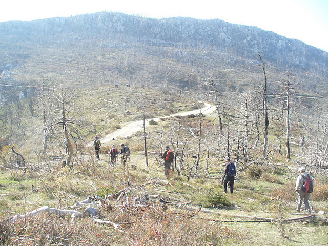 Hiking Hellas: ΠΑΡΝΗΘΑ- (ΜΠΑΦΙ-ΛΥΚΟΠΟΡΙΑ-ΕΔΑΣΑ-ΣΚΙΠΙΖΑ-ΔΙΑΣΕΛΟ ΠΑΝΟΣ ...