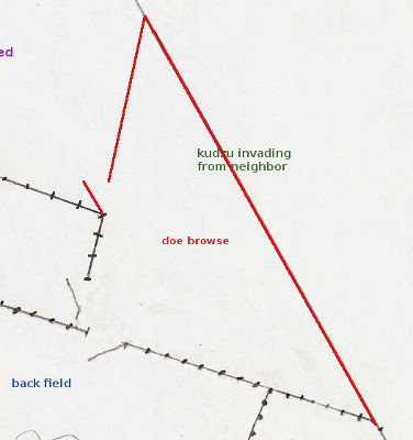 5 Acres & A Dream: Trailblazing The Property Line