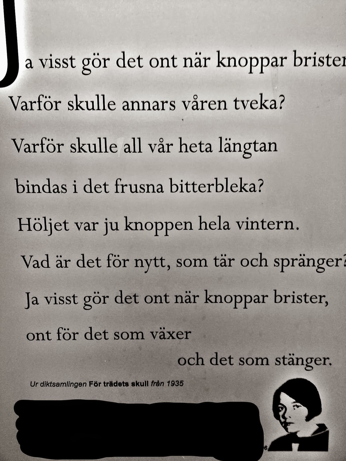 Dagens dikt.