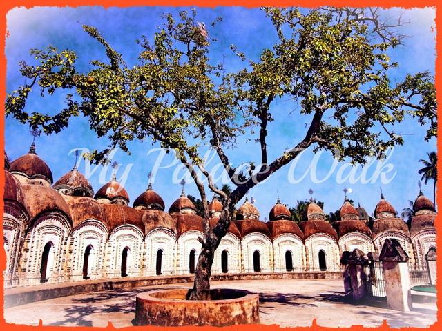 My Palace Walk.....from the Sahara to the Subcontinent: Maharajah Curly ...