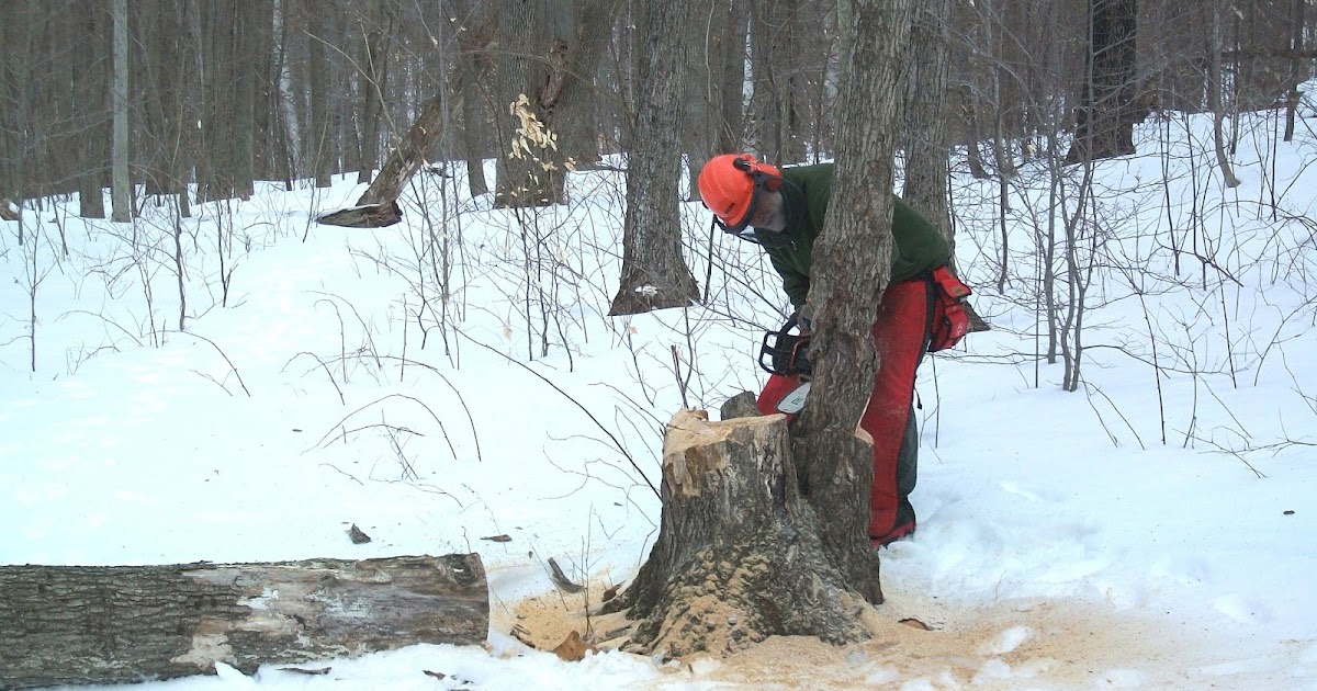 Fun in the Woods--Massachusetts AT Committee Project Blog: March 27th ...