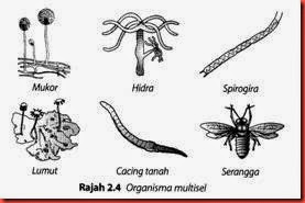 KeterehskyLab: BAB 2 SEL SEBAGAI UNIT ASAS KEHIDUPAN