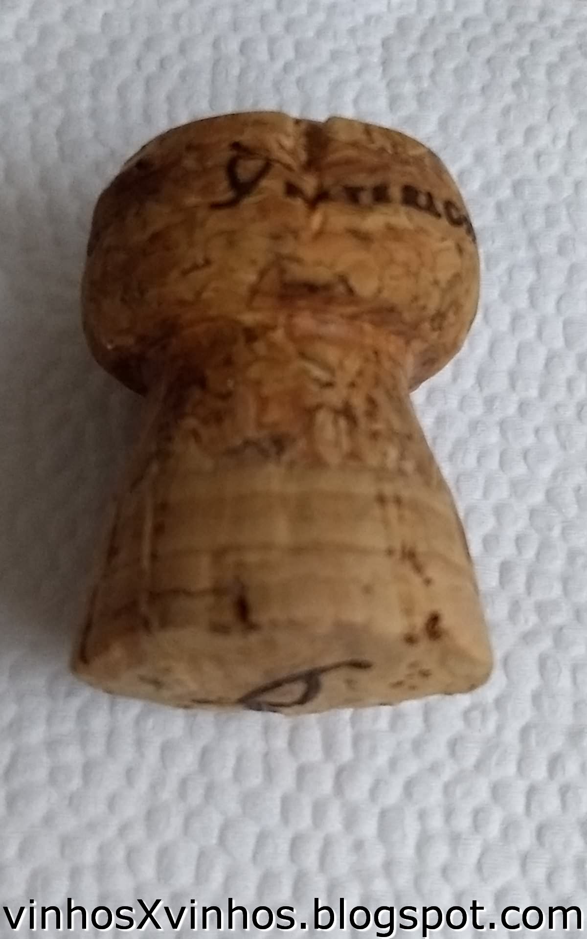 Vinhos x Vinhos: Peterlongo Privilege