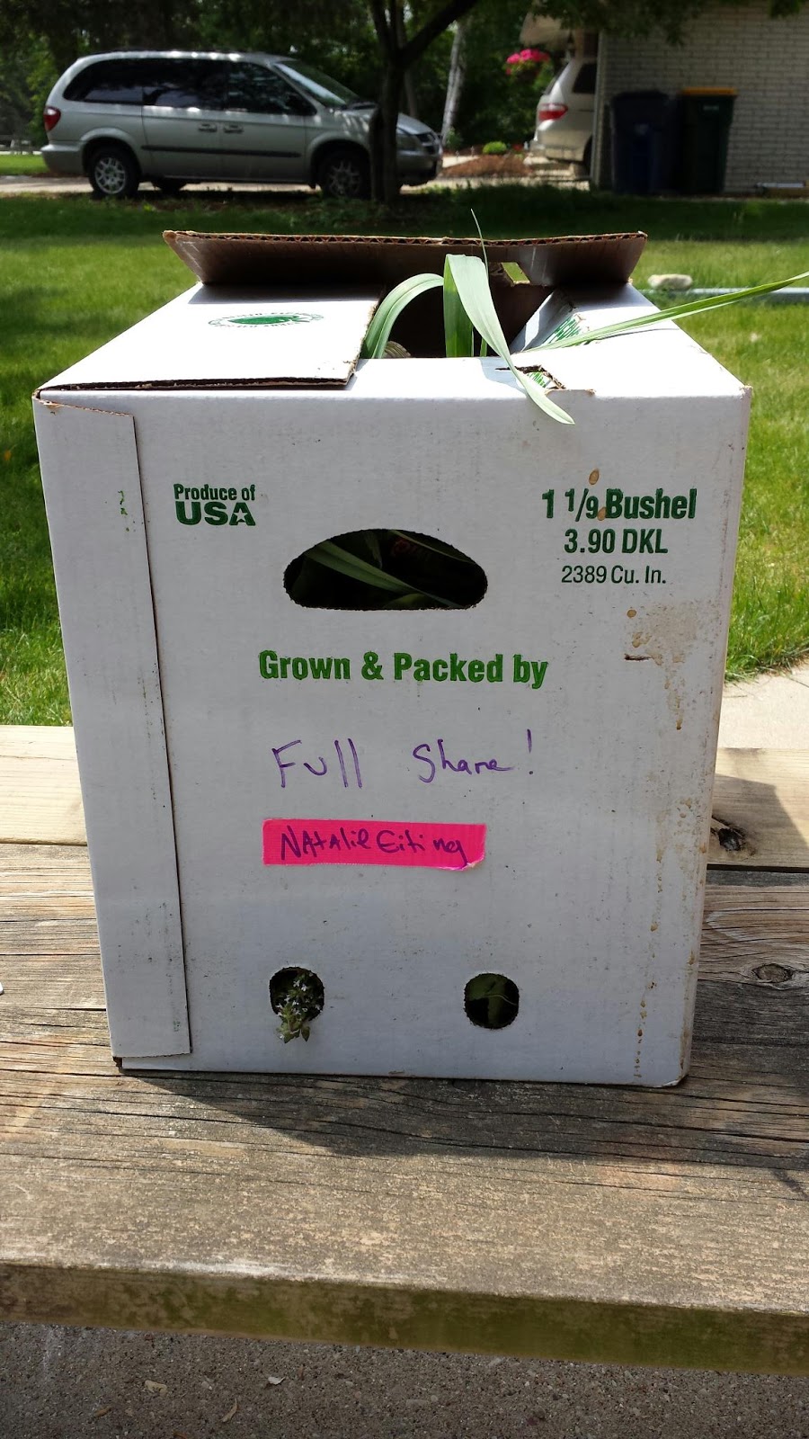 Everyday Eitings: Community Supported Agriculture (CSA)