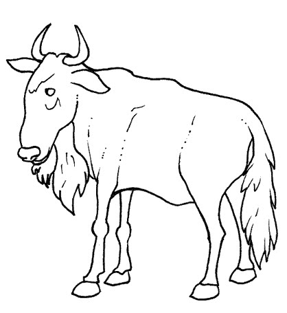 ñandu para colorear e imprimir - Imagui