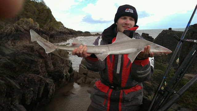 Sea Fishing: Ayr Sea Angling Club
