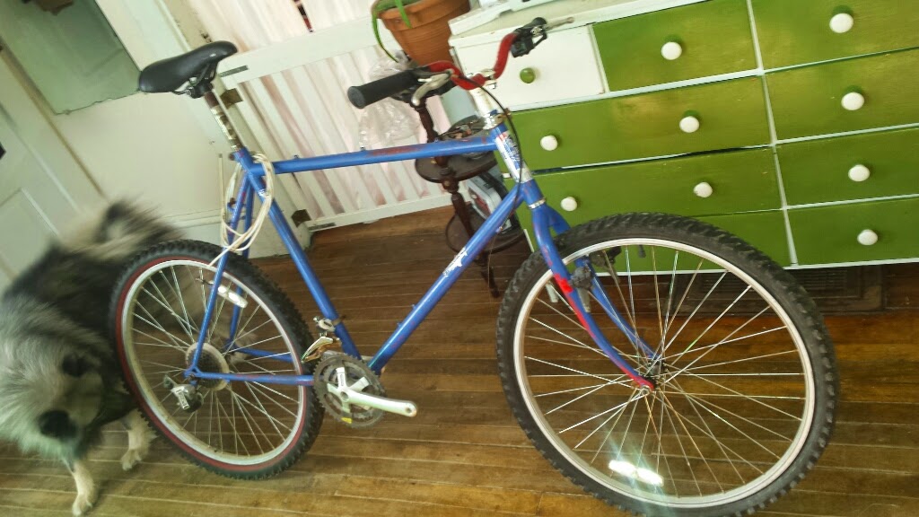 There's a reason it looks like garbage | Rat Rod Bikes Bicycle Forum