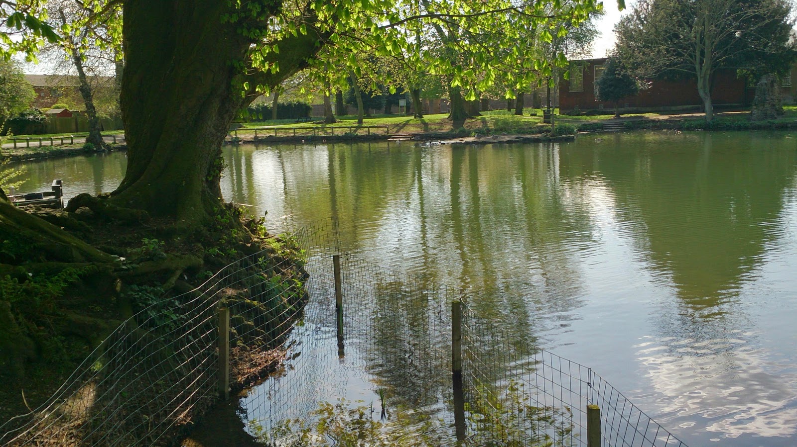 get-out: Park pondlife