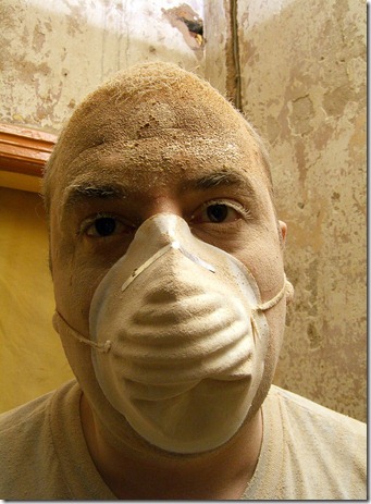 3 Things to Do with Dust | Turning the Page