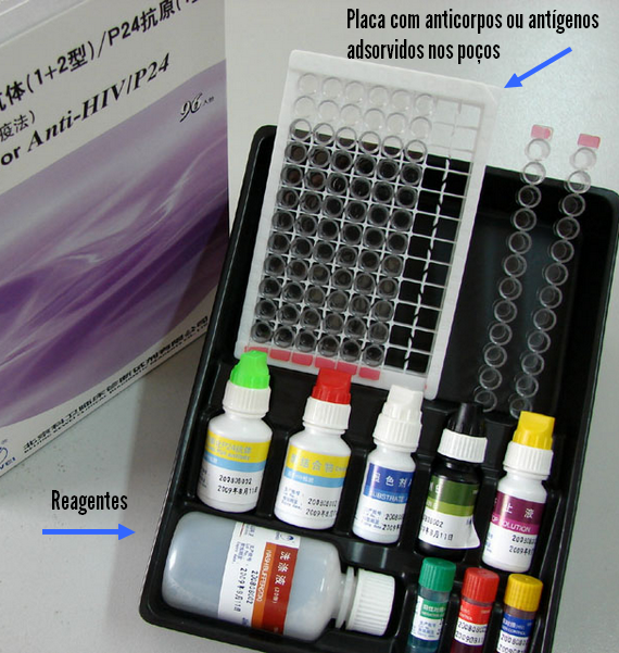 ELISA (Enzyme-Linked Immunosorbent Assay) | Biomedicina Padrão