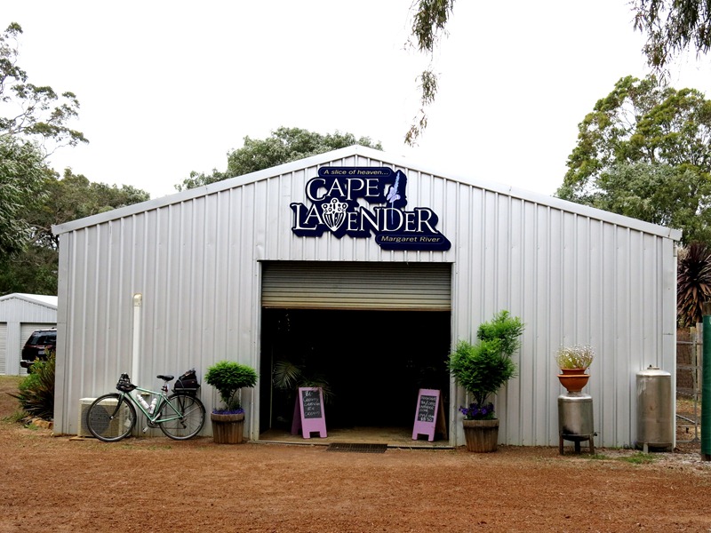 My J Babies: Family Holiday In Perth: Cape Lavender