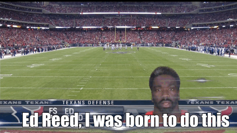 Texans releasing Ed Reed today : r/nfl