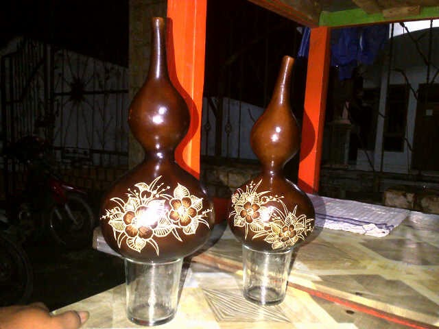 Labu China / Labu Botol / Labu Dewa mabuk / Labu Drunken Master ...