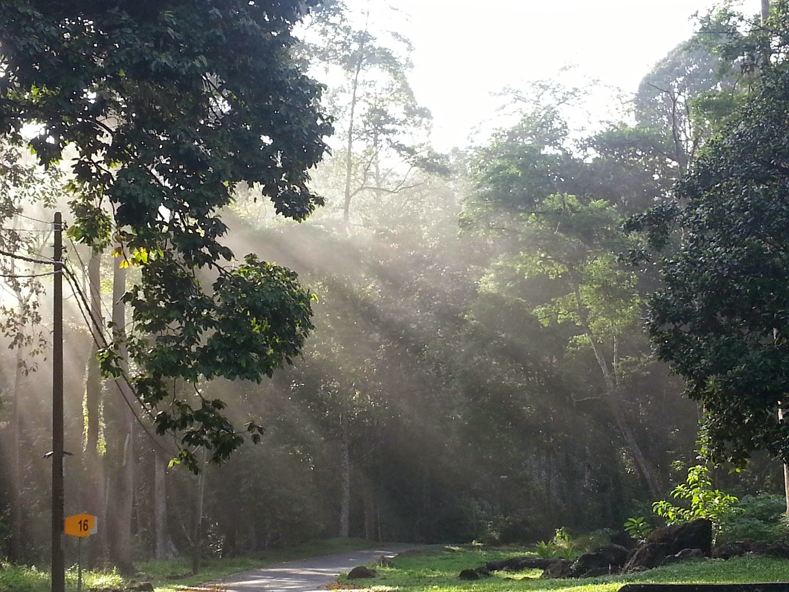 LagunaMerbok: Tupah Semakin Sepi.