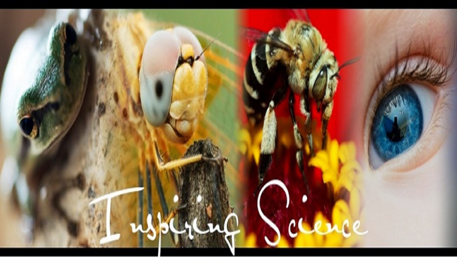 Inspiration.science : Inspiring Science