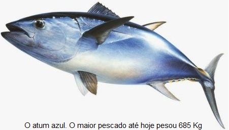 O atum de US$ 1,76 milhão