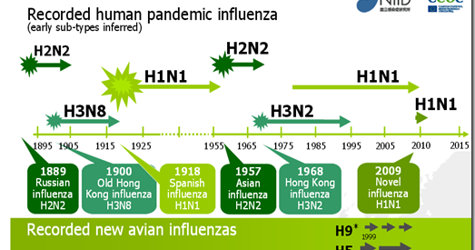 Avian Flu Diary: Viruses: Molecular Characterization of a Novel Avian ...