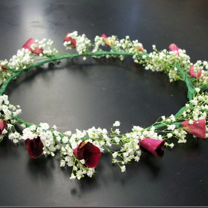 Astrology by Paul Saunders : Venus conjunct Acrux and Alphecca ...