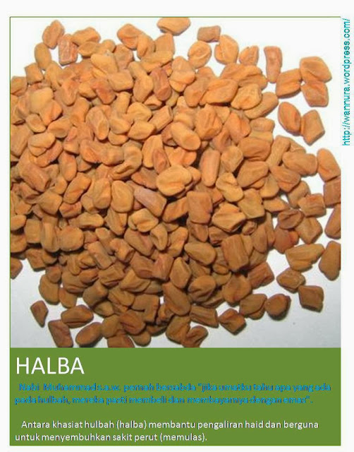 Everyone can cook.... Better... Safer... Faster... DELICIOUS FOOD! With ...