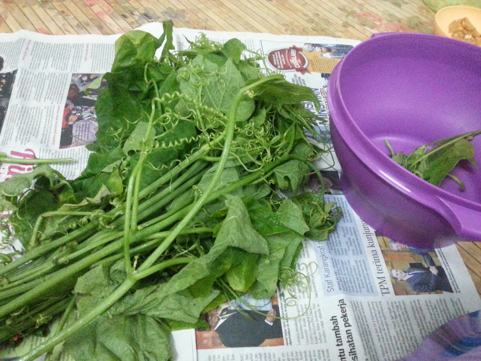 Tupperware Malaysia: Tupperware Comel Lote: Pucuk labu masak lemak