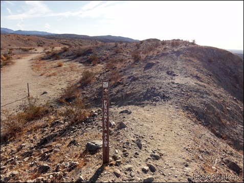 Pushawalla Palms Loop | Jesse's Hikes