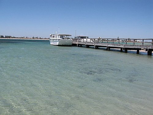 清清的環球旅行筆記: 西南澳澳客行 洛金汗 (Rockingham) 花園島 (Garden Island)、企鵝島 (Penguin ...