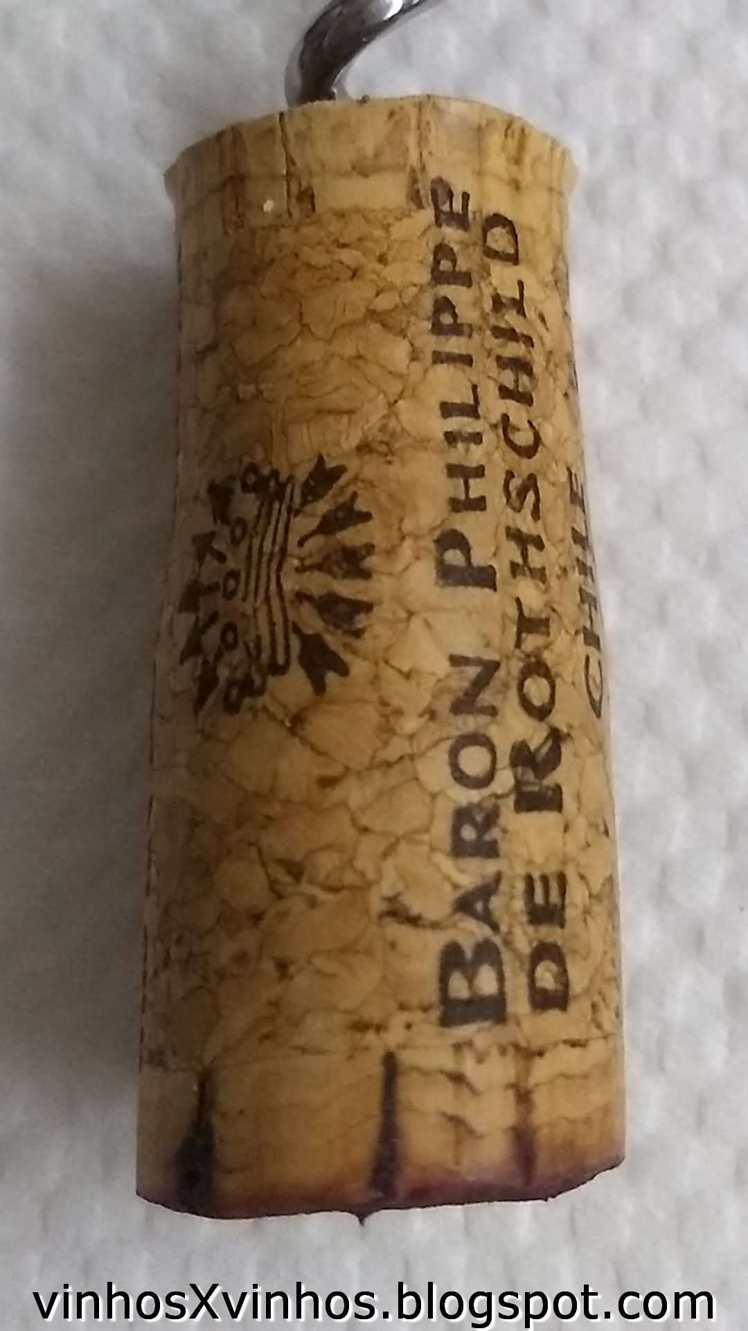 Vinhos x Vinhos: Mas Andes Merlot