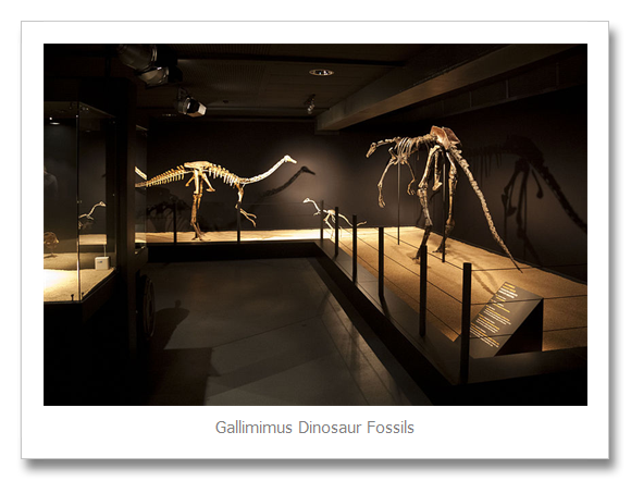 Ancient Digger Archaeology: Monday Ground Up: Dinosaurs in Madagascar