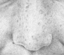 Tutorial: How to Draw a Face