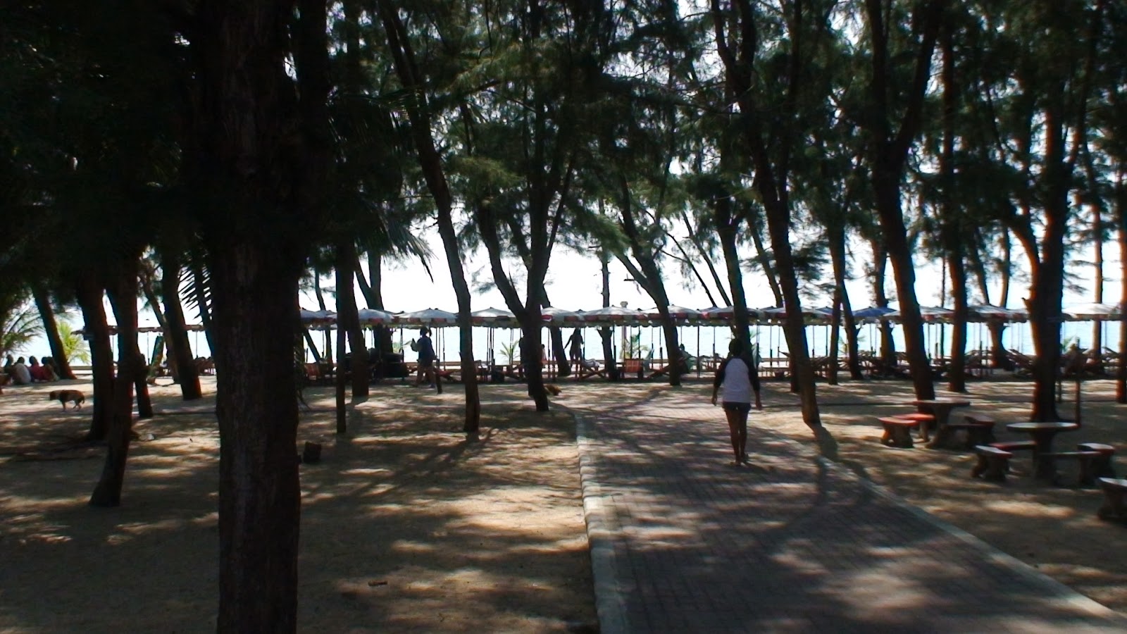 Ban Chang, Rayong, East Coast Thailand: Good morning Ban Chang....