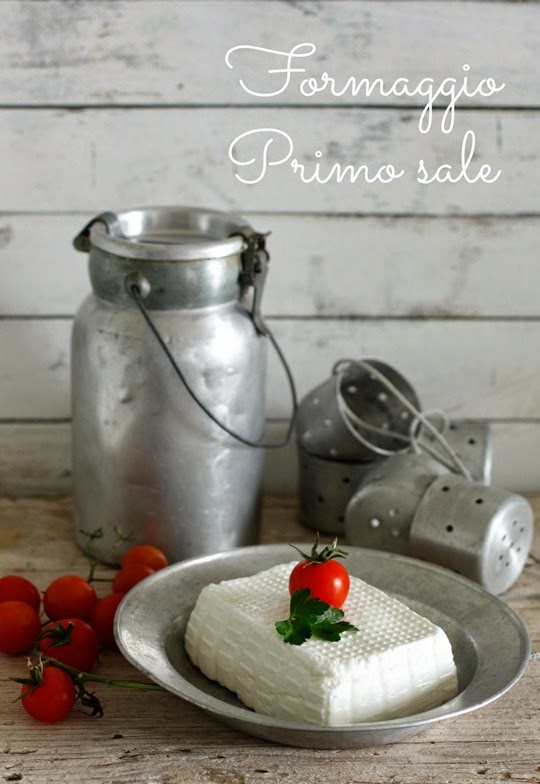 FORMAGGIO PRIMO SALE | Anna The Nice