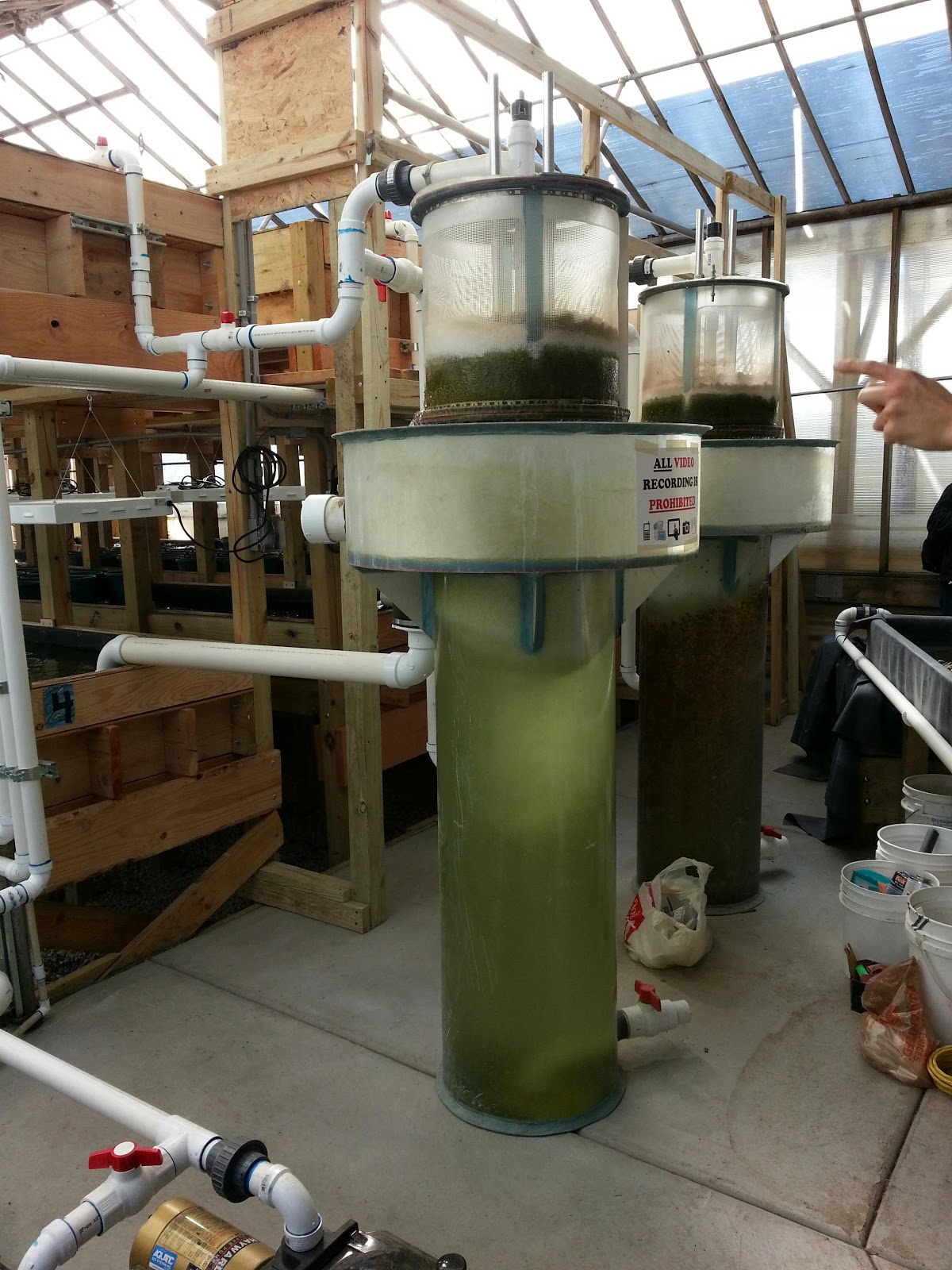 Urban Gardening Initiative: Growing Power tour in Milwaukee, Wisconsin!