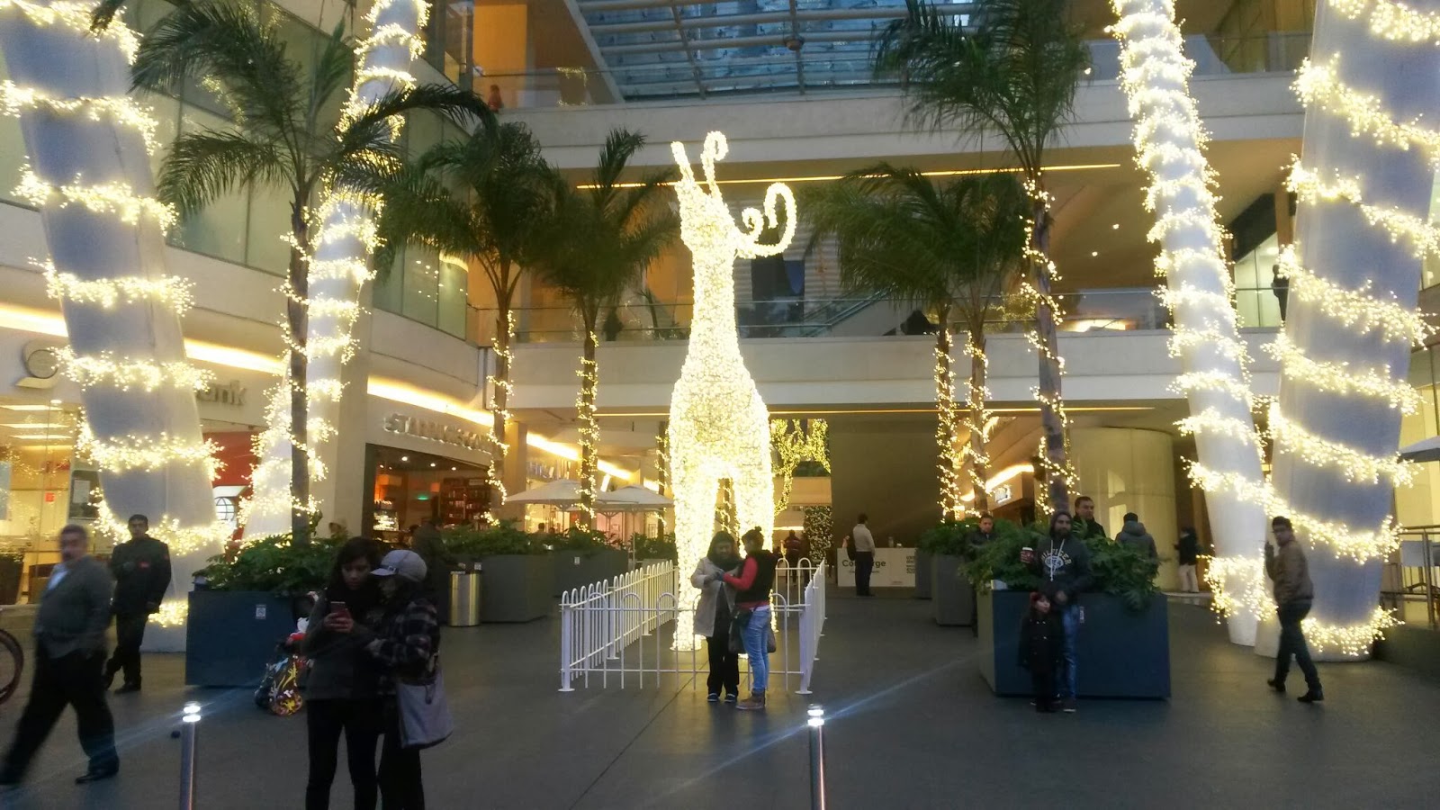 Conociendo la Ciudad : POLANCO DF