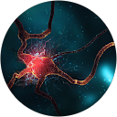 Harley Street Health Centre | Private Doctors in Central London