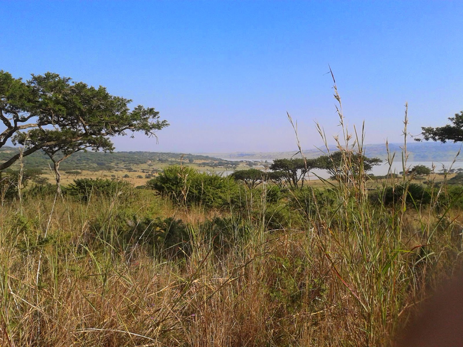 Grade 9 : The Simpler Journey