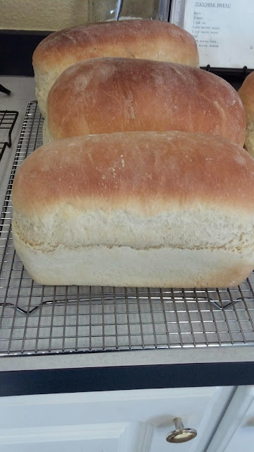 wholesome and homemade : First snow--Homemade bread