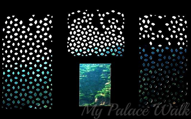 My Palace Walk.....from the Sahara to the Subcontinent: Maharajah Curly ...