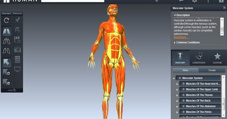 Living with Kennedy's Disease: The Human Body in 3D