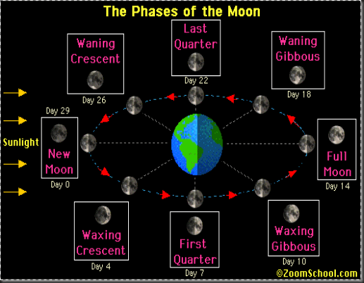 Reviewer for Marine Deck OIC: Moon Phase
