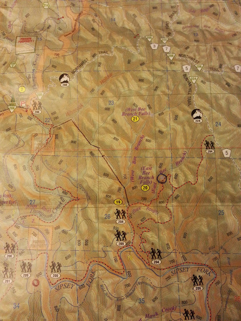 Time To Hit The Road!: Sipsey Wilderness - backcountry to the Big Tree