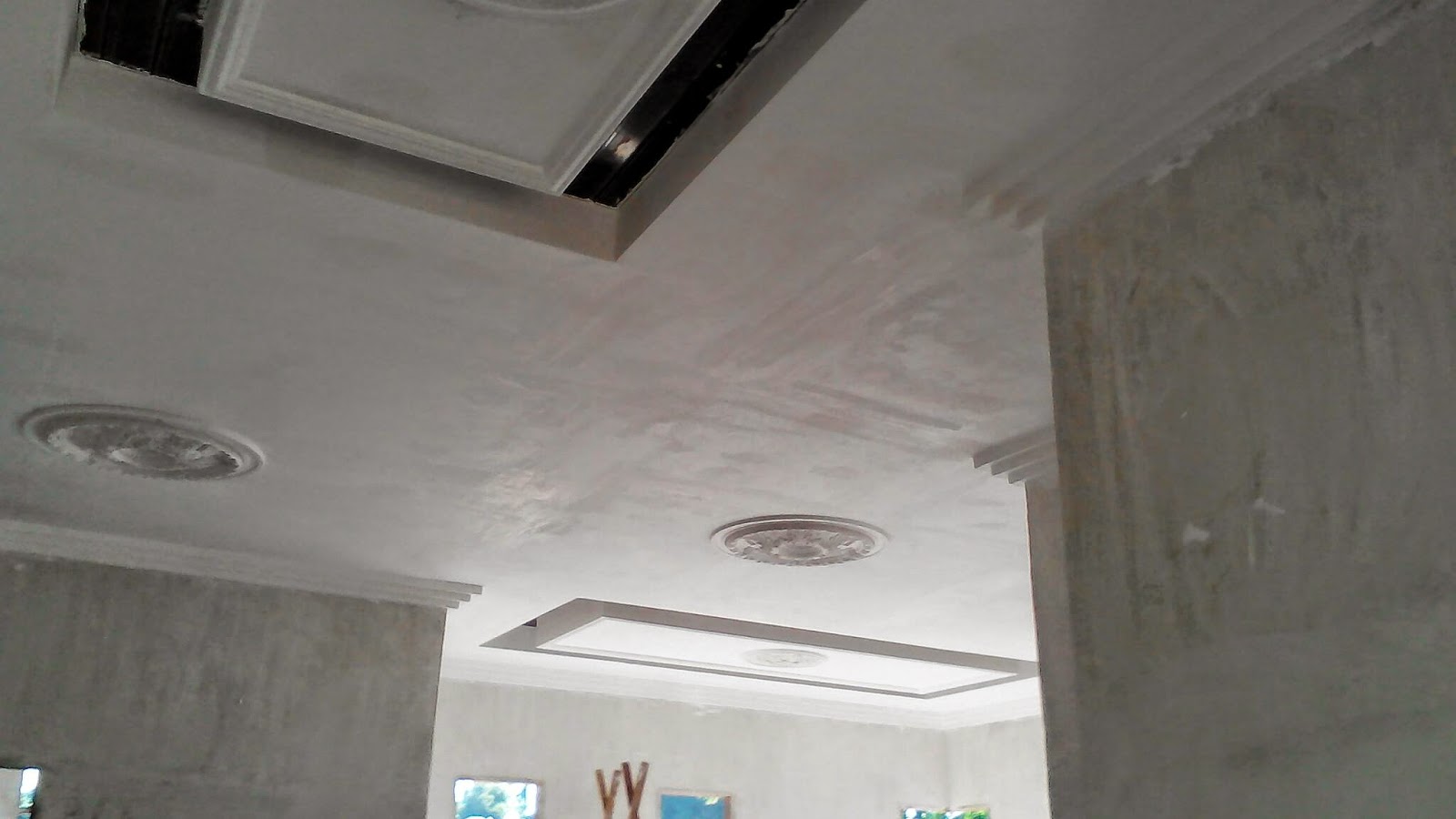 Siling fiber+siling kapor+ctwood