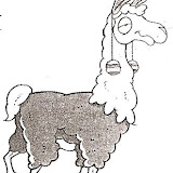 COLOREAR DIBUJOS DE LLAMAS