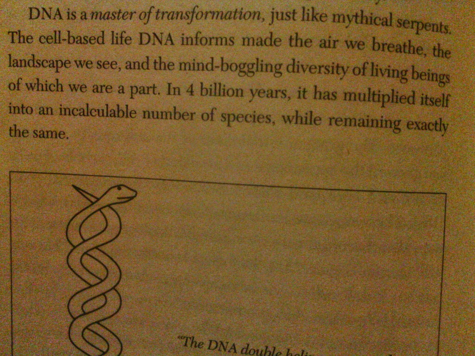 MGSGnosis: Serpent Symbolism and Genetics in Metal Gear Solid