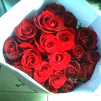 TOKO BUNGA JAKARTA: Toko bunga | jual bunga mawar holand